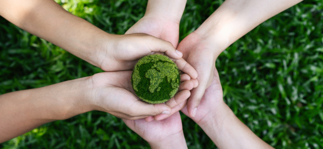 Donate To Save The Environment | Best Donation In Delhi